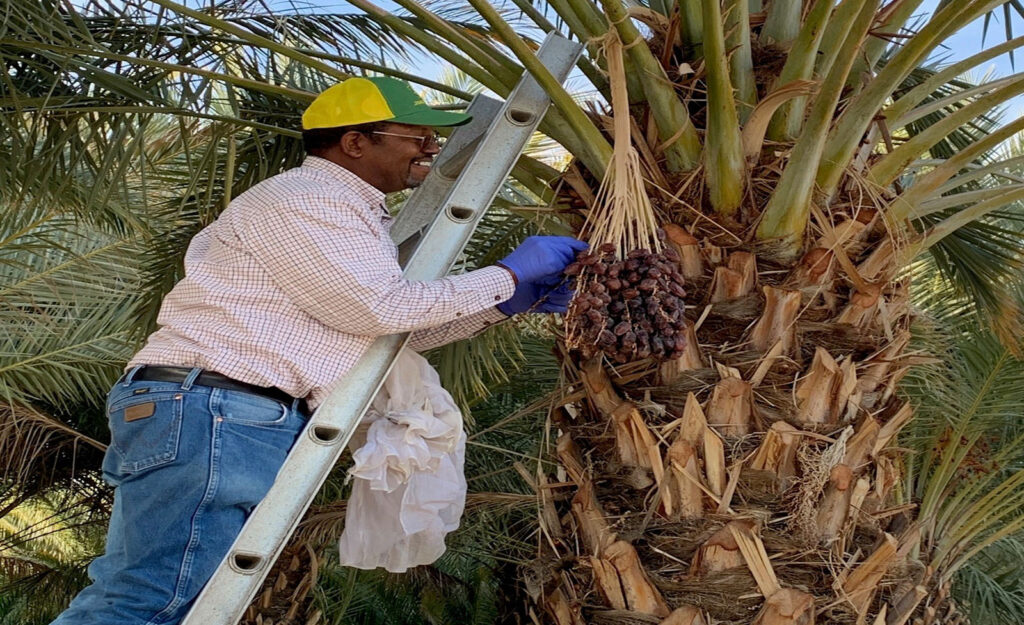 Sweet Dreams Come True – Office of Advocacy