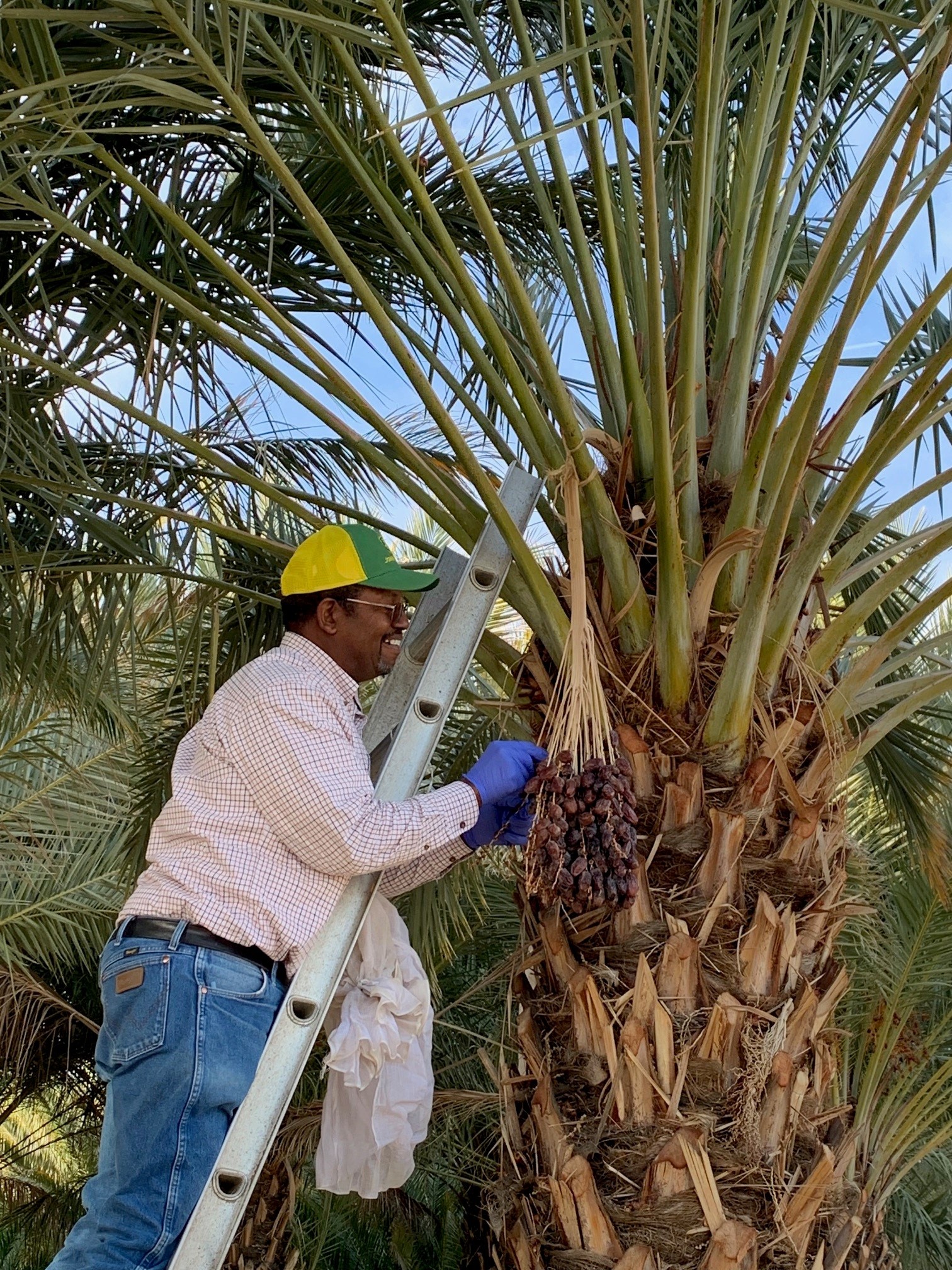 Spotlighting Small Farmers – Office of Advocacy